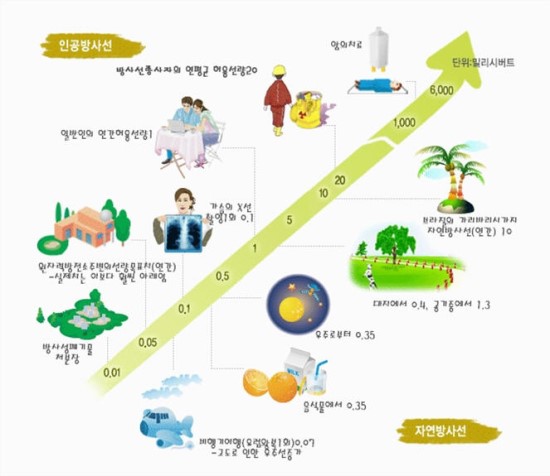 방사능 피폭 대처법예방법 방사능 피폭이 인체에 미치는 영향과 대처법·예방법 네이버 블로그