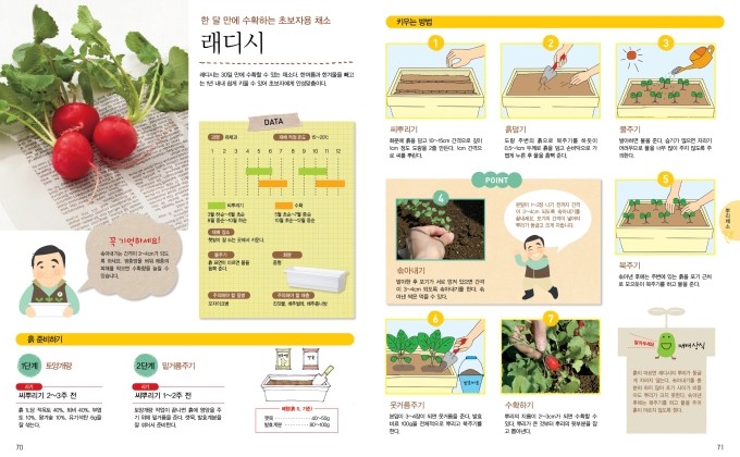 화분에 채소 키우기 싱싱한 채소를 바로 식탁에 네이버 블로그