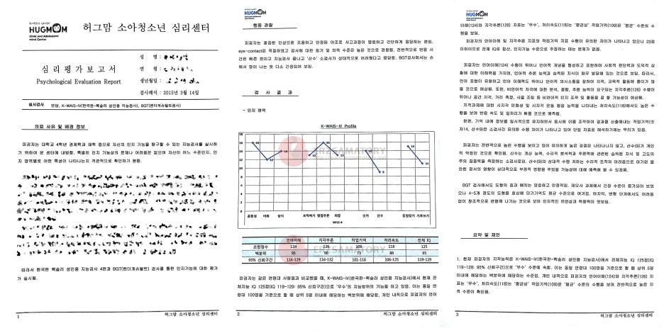 웩슬러 지능검사를 받아보았습니다 네이버 블로그
