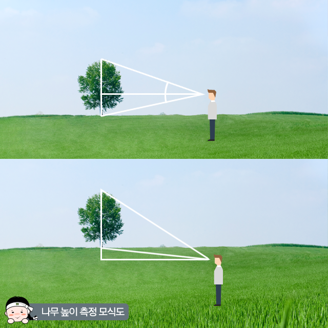 나무 크기 측정 방법 나무 두께와 높이 재는법 네이버 블로그