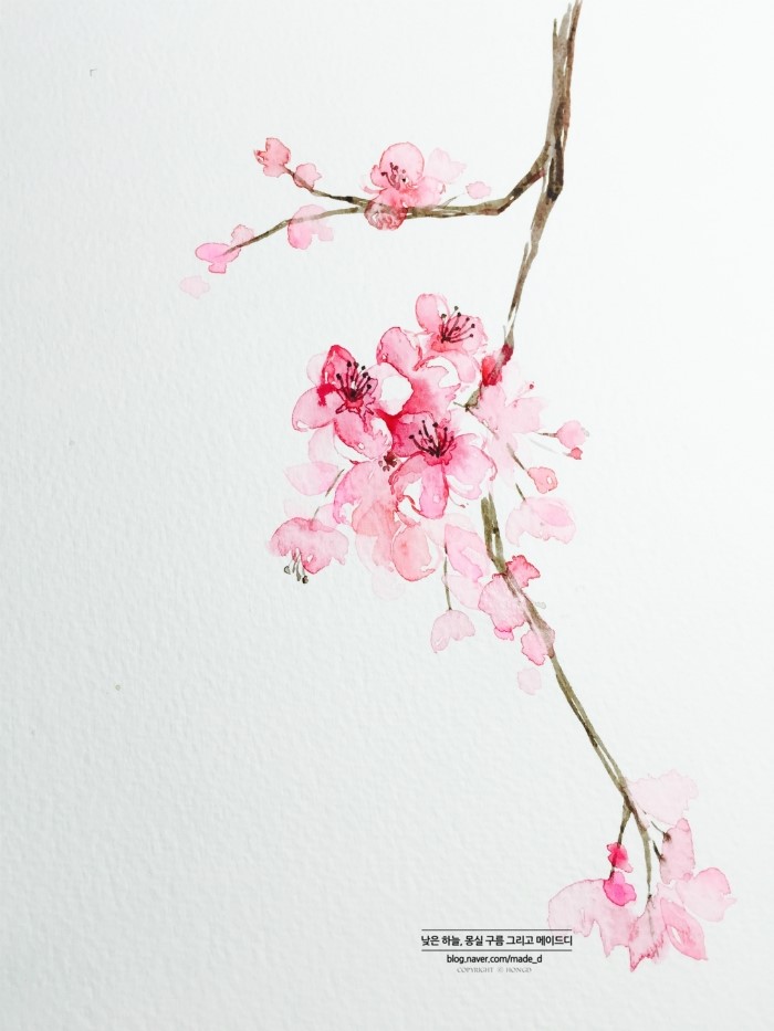 벚꽃엔딩의 계절이네요~ 벚꽃 그림 그리기 네이버 블로그
