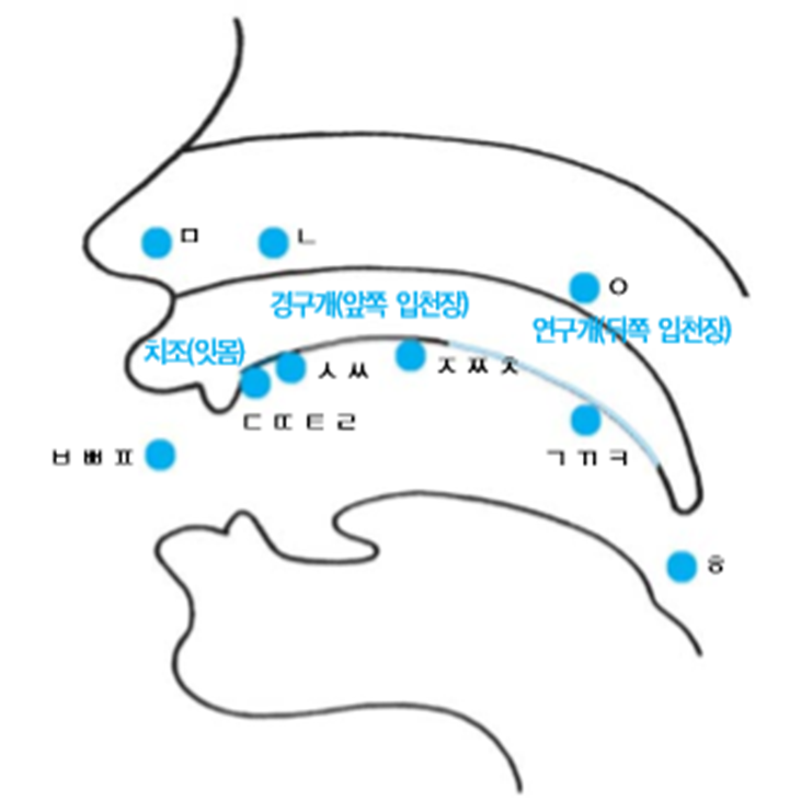 보이스트레이닝 발음편 네이버 블로그
