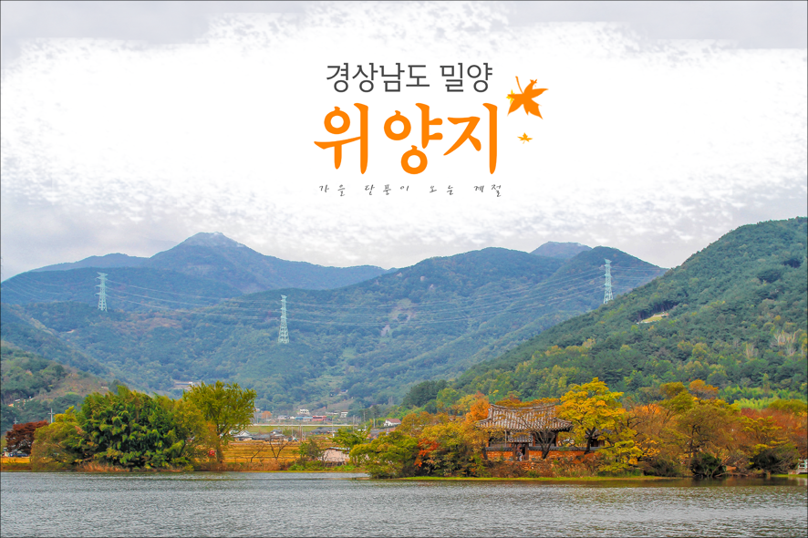 가을단풍명소 밀양 위양지 걷기 좋은 산책 코스 네이버 블로그