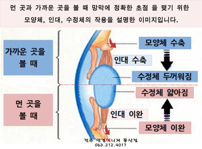 전주 어린이 안경테 키즈닥터와 눈 피로방지 기능성 안경렌즈 선명하고 편안한 안경을 맞추기 위한 양안시 기능 검사 네이버 블로그