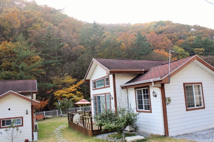 부산펜션추천 기장 독채펜션 힐링 장소로 딱인 부산 가족펜션 용소♥ 네이버 블로그