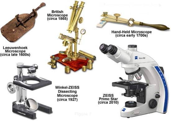 현미경 역사 (History of Microscopes) : 네이버 블로그