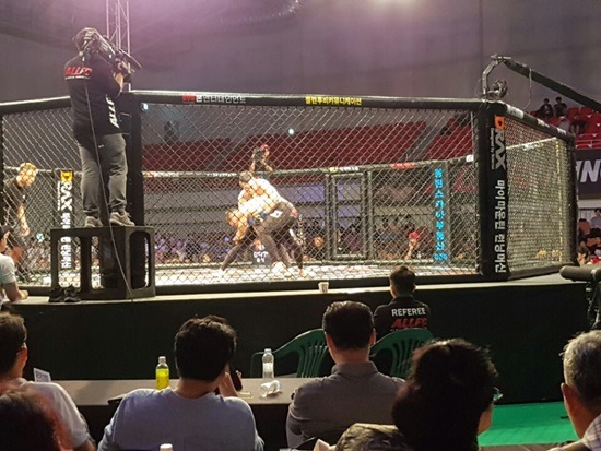 걸스데이 뮤직비디오 복싱링 임대ufc케이지임대ufc케이지제작mma케이지제작챔피언벨트제작챔피언벨트공장챔피언벨트구입