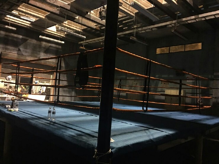 걸스데이 뮤직비디오 복싱링 임대ufc케이지임대ufc케이지제작mma케이지제작챔피언벨트제작챔피언벨트공장챔피언벨트구입
