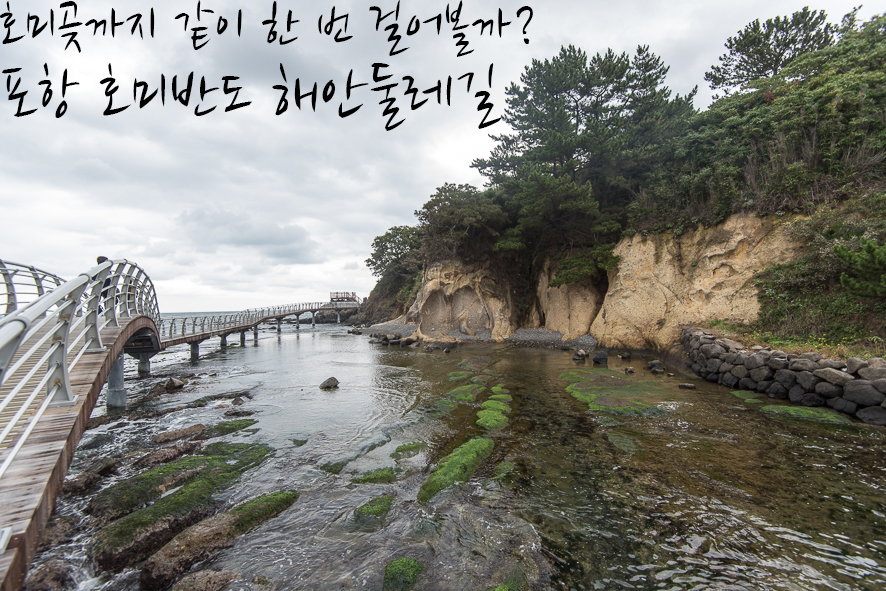 포항 가볼만한곳 동해안 여행코스 포항 호미반도 해안둘레길 네이버 블로그