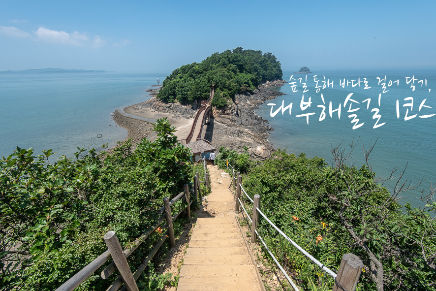 서울 근교 바다 여행 대부도 구봉도 대부해솔길 1코스 네이버 블로그
