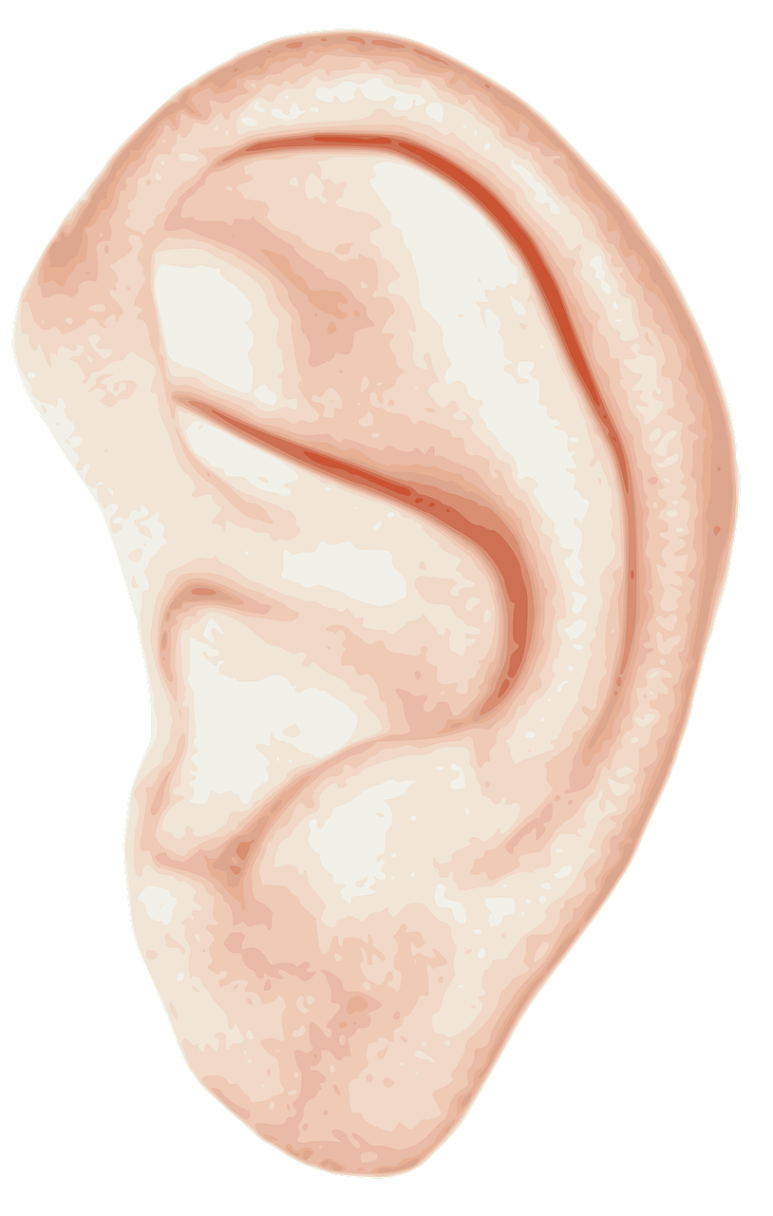 두통 Greater Auricular Nerve 큰귓바퀴신경 대이개신경의 포착 귀통증 귀뒤통증 귀바퀴통증 네이버 블로그