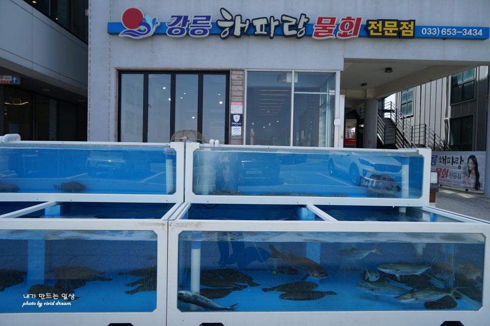 강문해변 맛집 강릉 해파랑 물회는 물회맛집 네이버 블로그