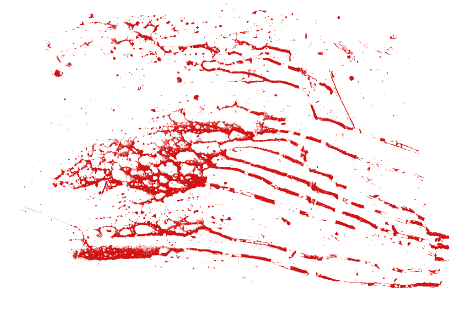 [포토샵 합성자료] 피(blood) PNG파일 소스 이미지 19장 : 네이버 블로그