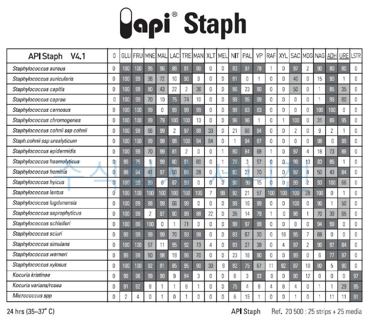 20500 / API 황색포도상구균 (Staph) : 네이버 블로그