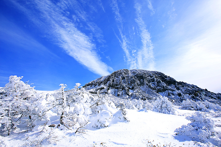 한라산 겨울산행 3. 겨울왕국 윗새오름~남벽 : 네이버 블로그